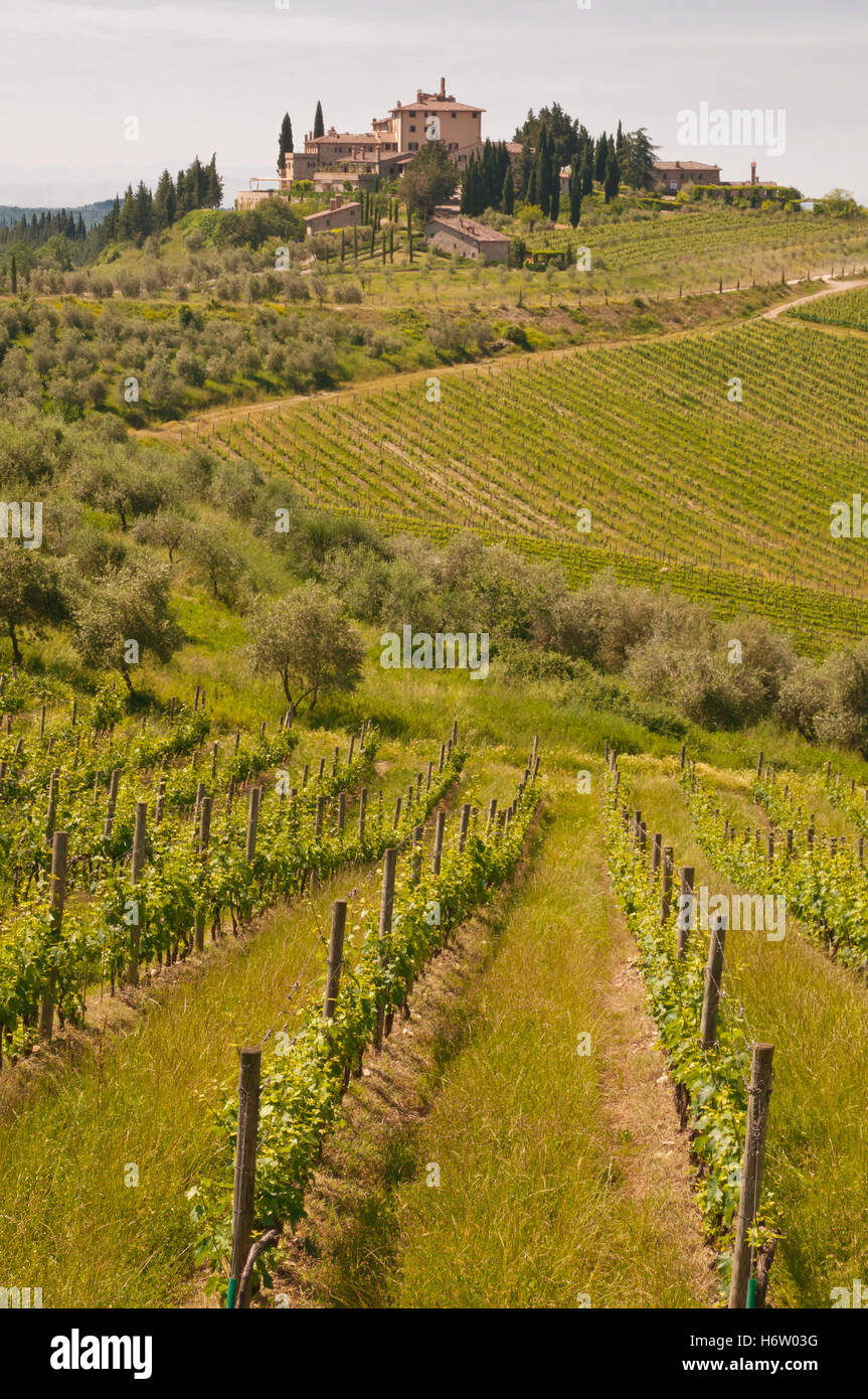 Daylight landscapes hi-res stock photography and images - Alamy