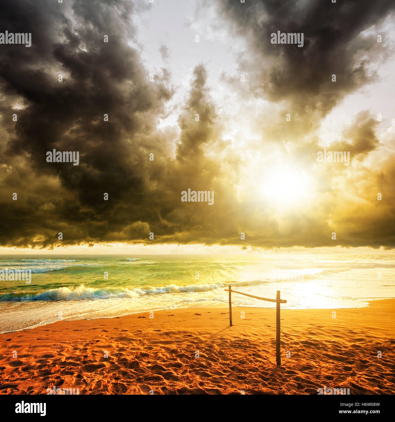 Seaside environment hi-res stock photography and images - Alamy