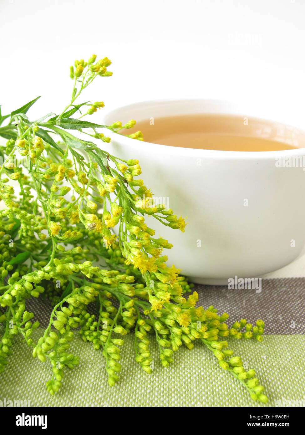 tea with goldenrod Stock Photo - Alamy
