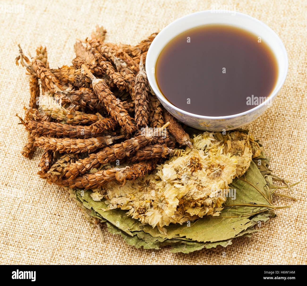 Black root hi-res stock photography and images - Alamy