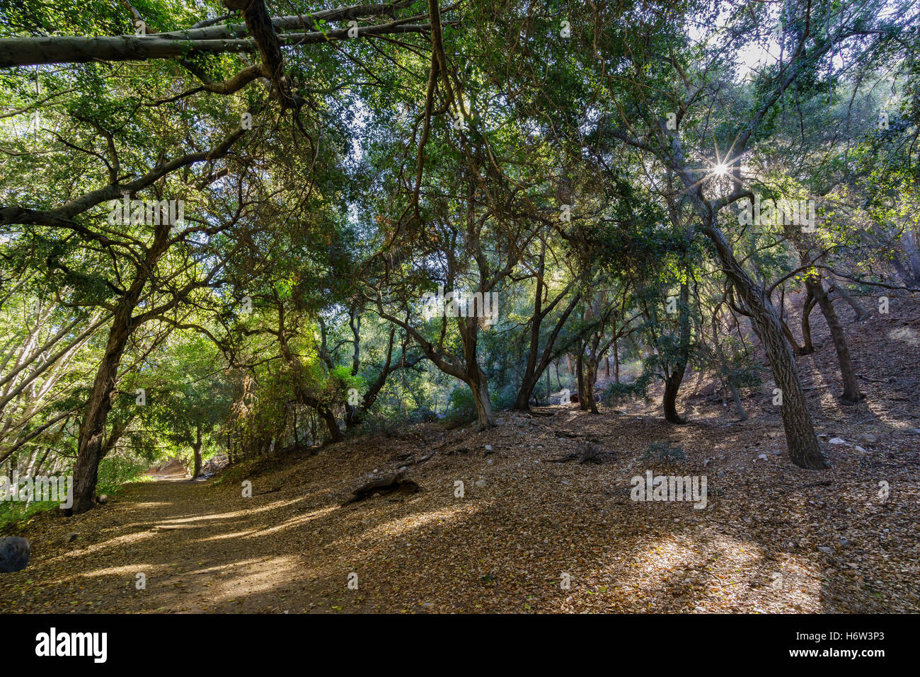 Switzer falls trail hi-res stock photography and images - Alamy