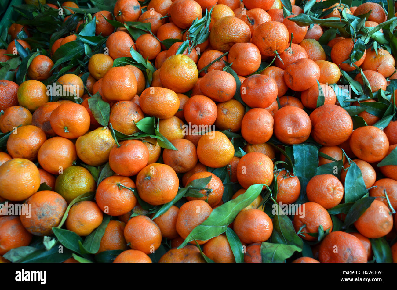 With tangerines hi-res stock photography and images - Alamy