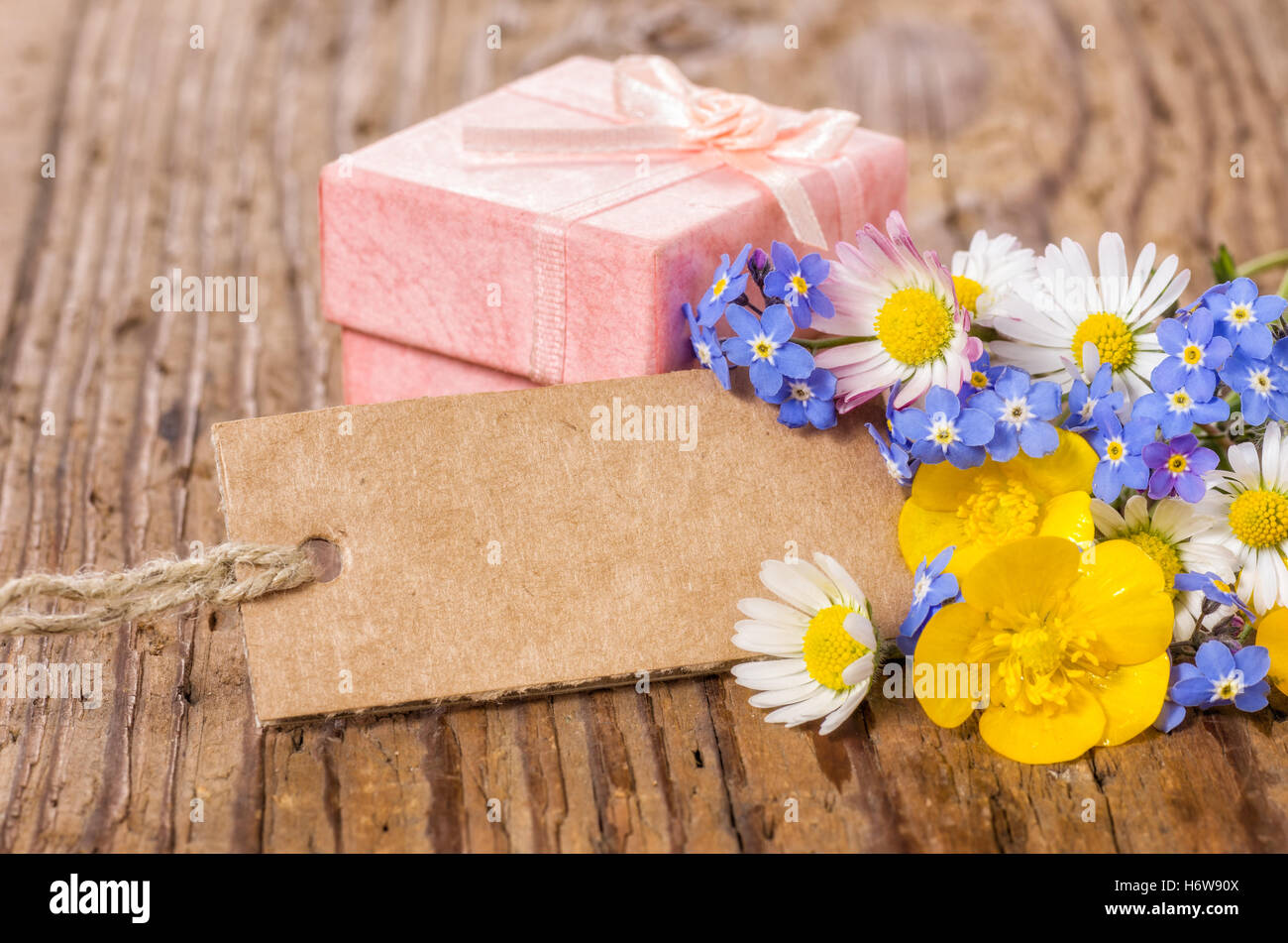 flower, flowers, plant, gift, loop, shield, surprise, birthday, pink ...