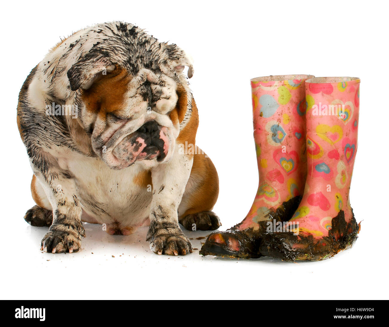 Project sit Cut Out Stock Images & Pictures - Alamy