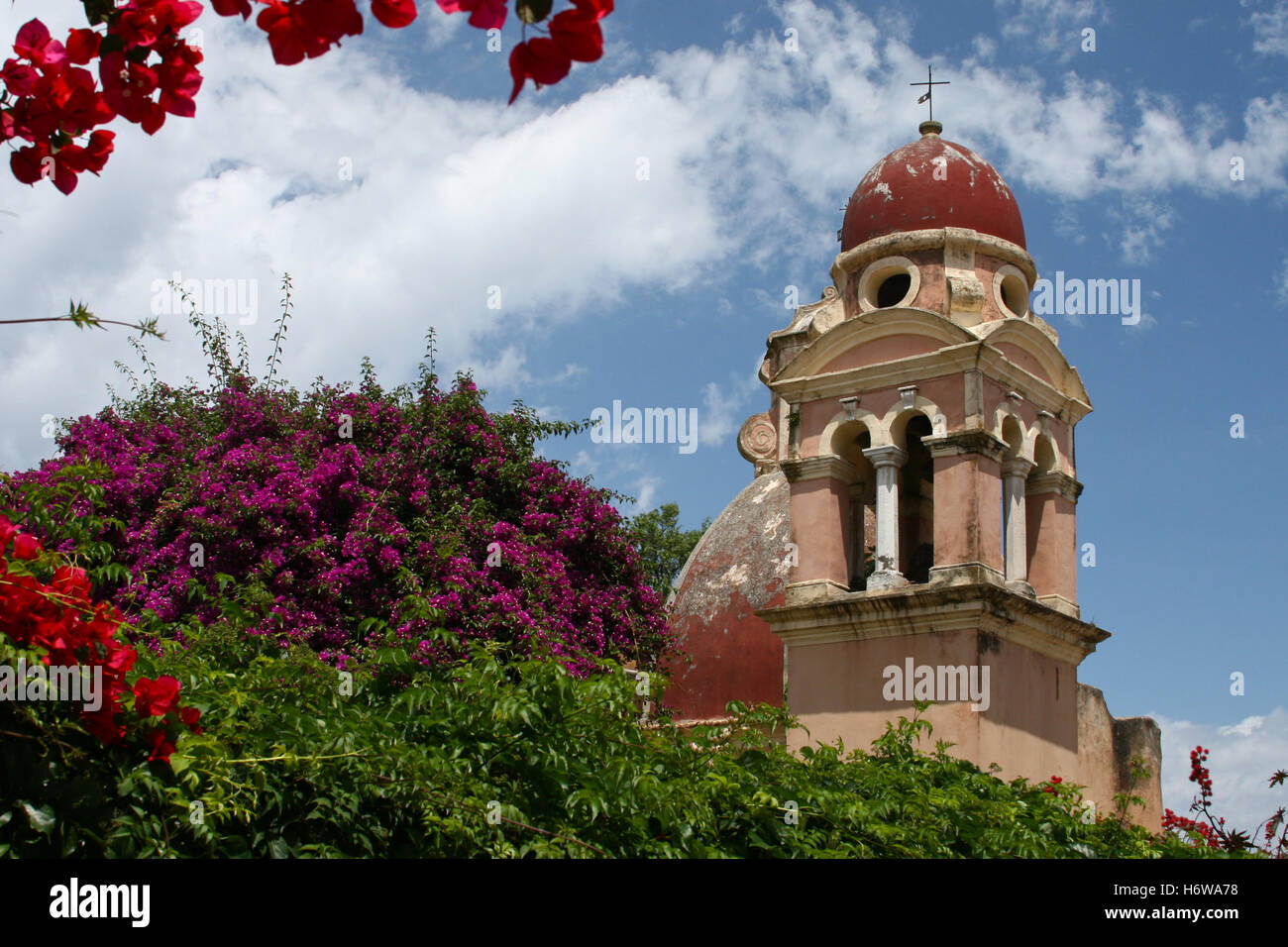 church city town greece flower flowers plant old town corfu church city ...