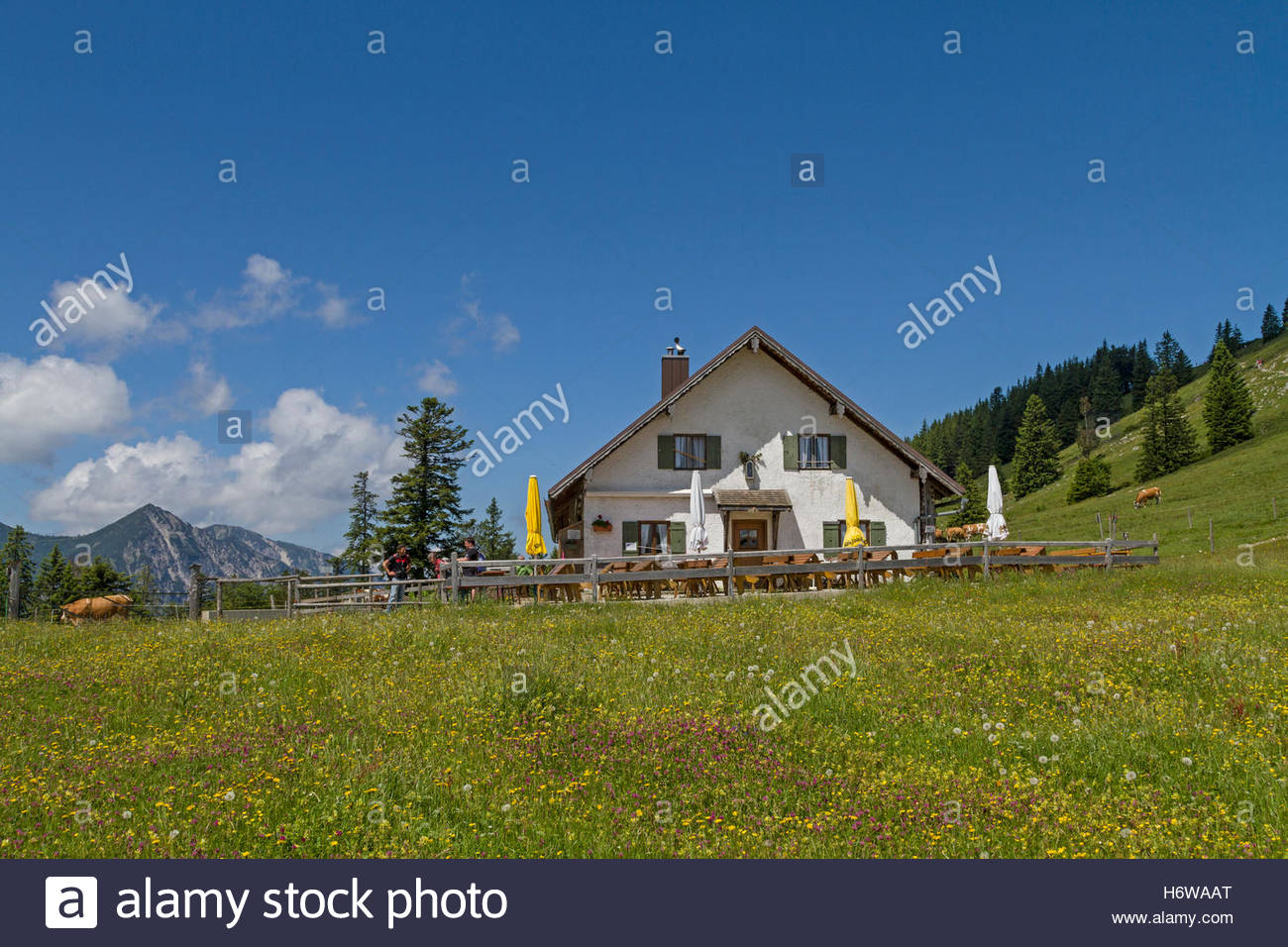 Alm Houses High Resolution Stock Photography and Images - Alamy