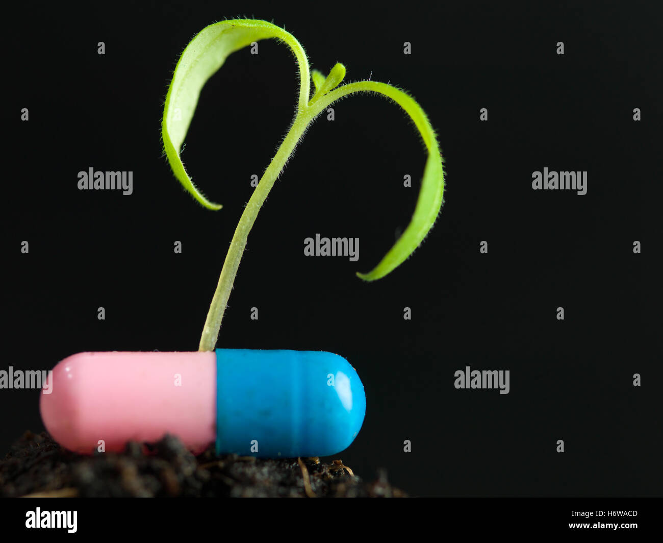 life exist existence living lives live medicinally medical lifestyle ...