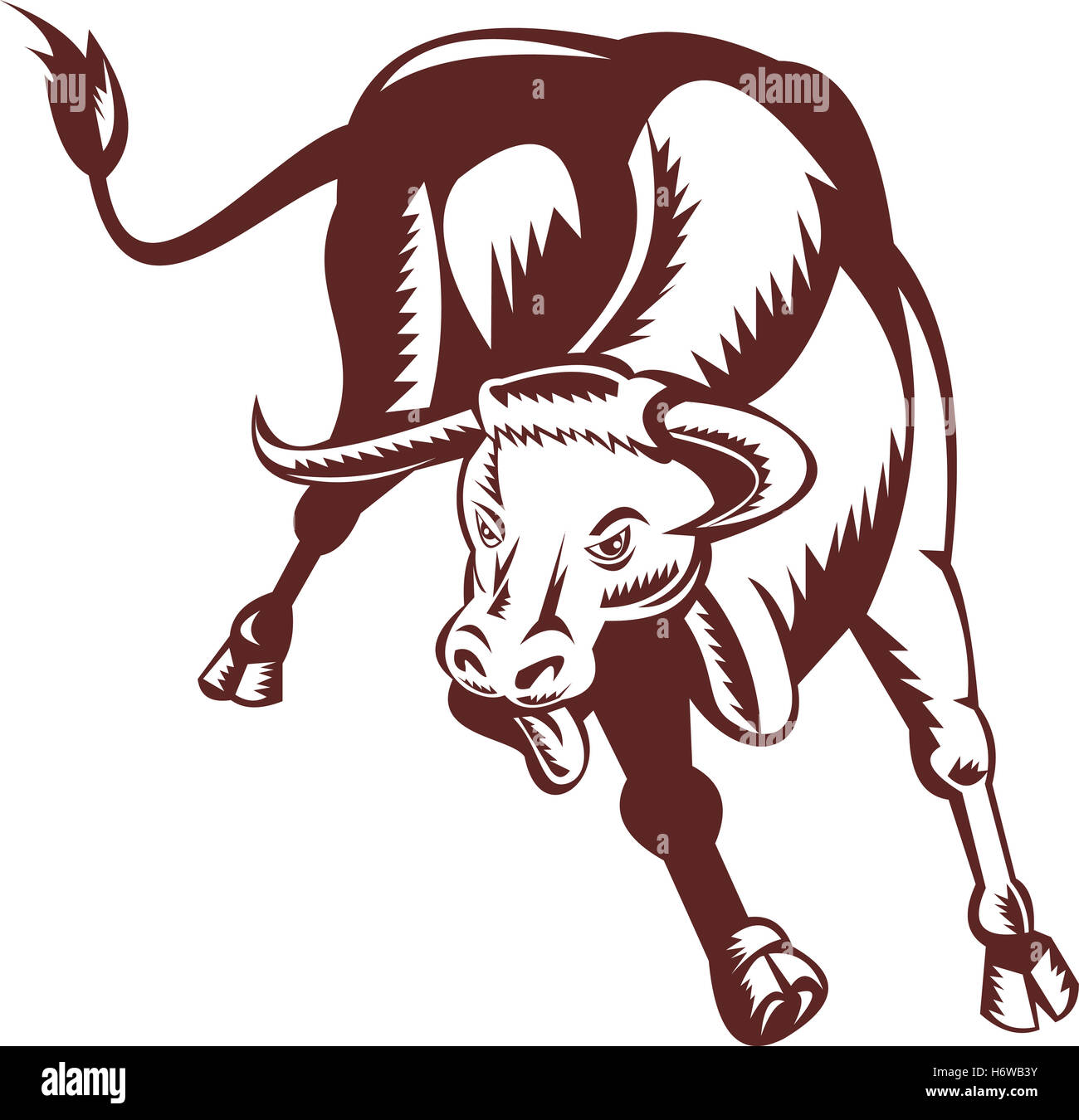 isolated animal bull illustration wildlife cow retro raving furious ...