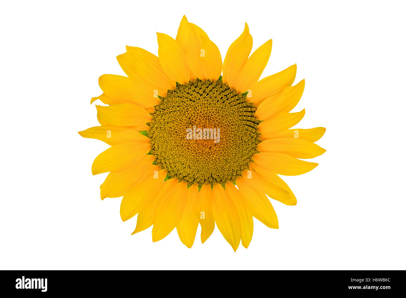 Flourishing Ecosystem High Resolution Stock Photography and Images - Alamy