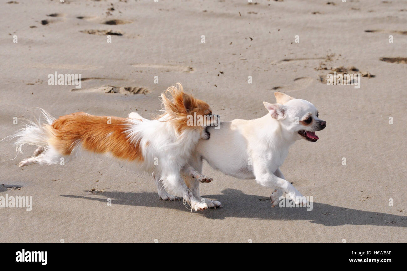Body motion hi-res stock photography and images - Alamy