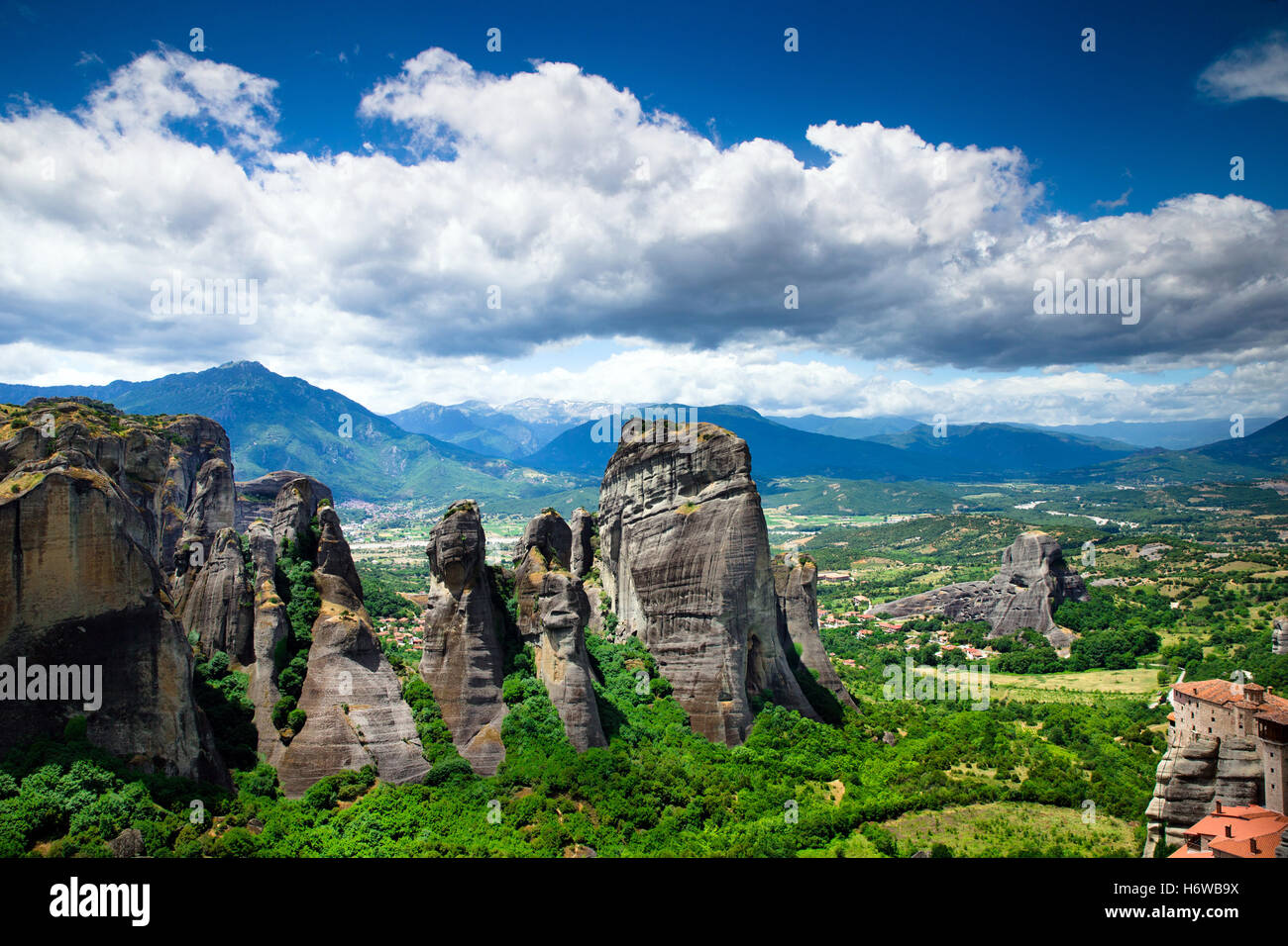 Human trees hi-res stock photography and images - Alamy
