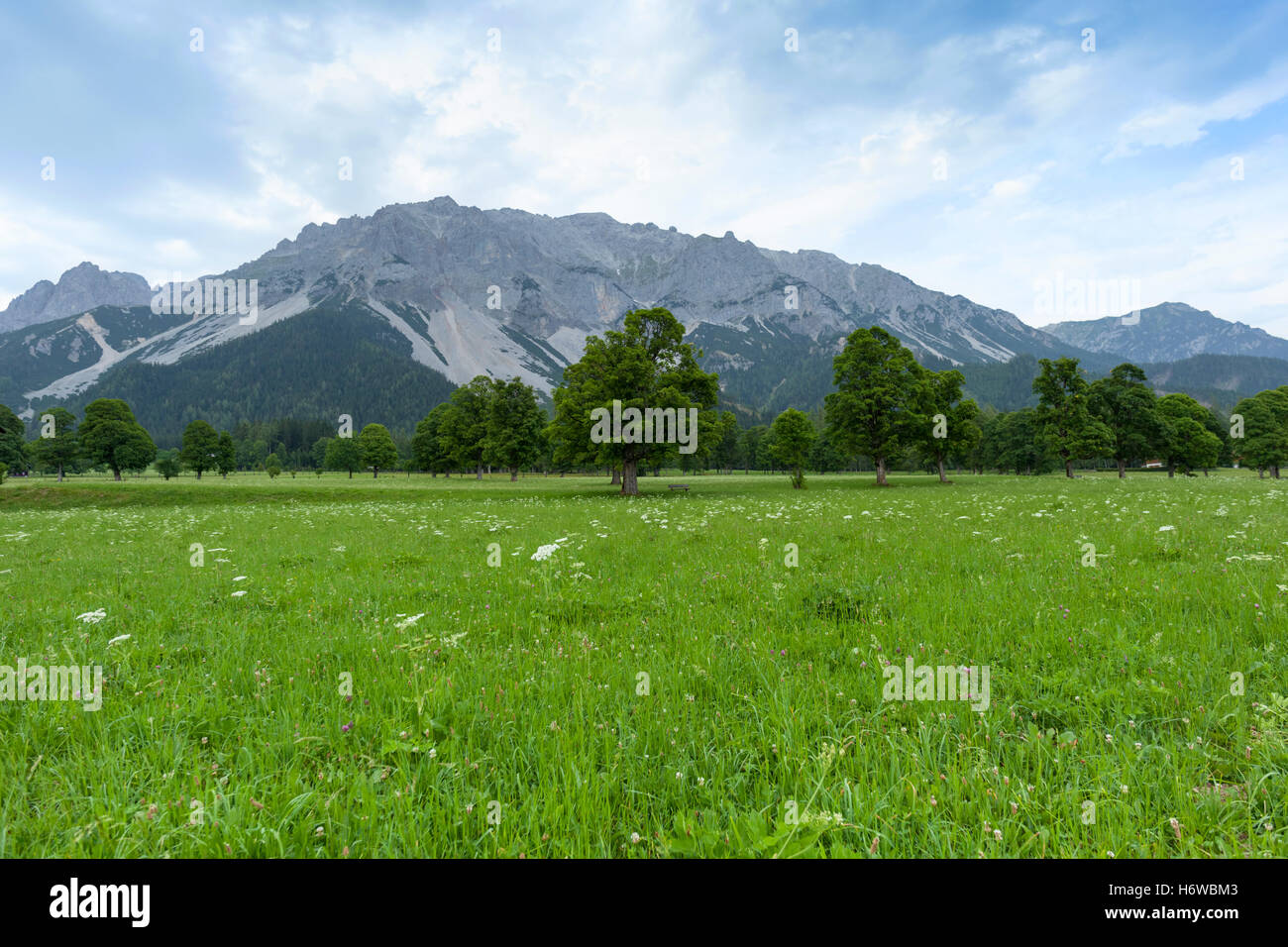 Meadow landscapes hi-res stock photography and images - Alamy