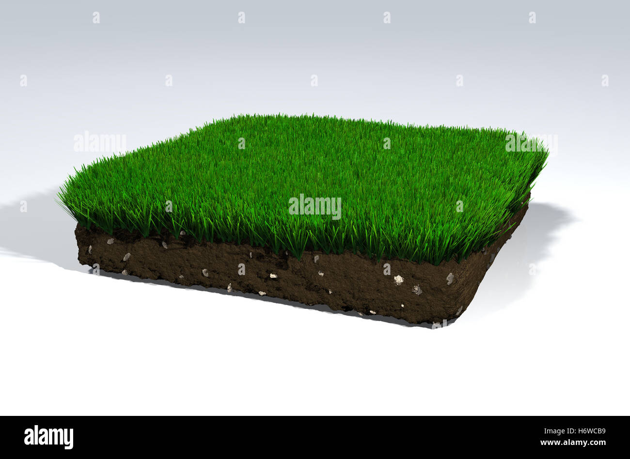 Soil layers grass cross section hi-res stock photography and images - Alamy