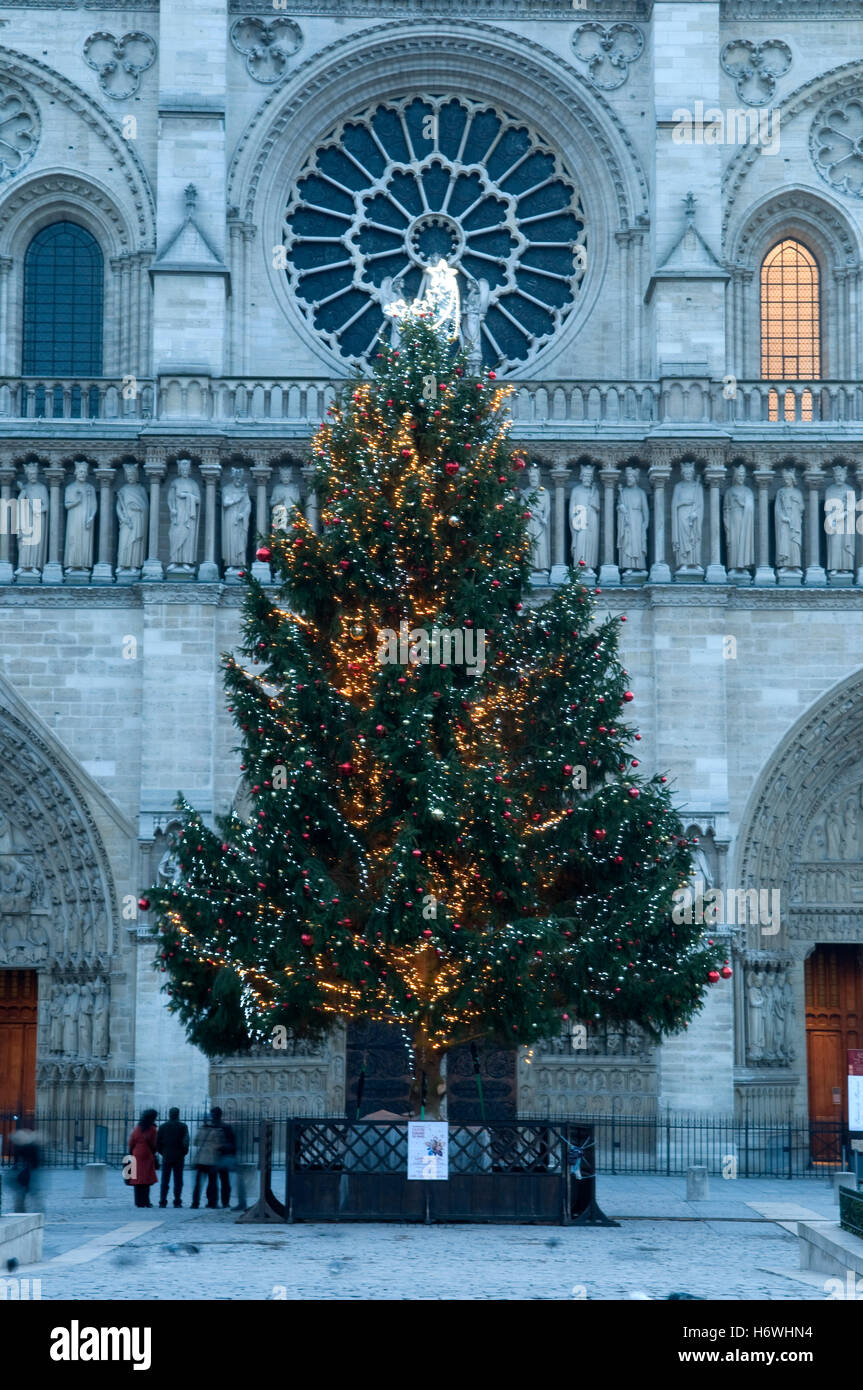 View christmas tree basilica hi-res stock photography and images - Alamy