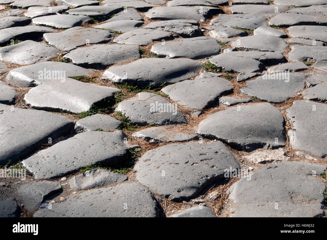 Pavement In Forum Romanum Rome High Resolution Stock Photography and ...