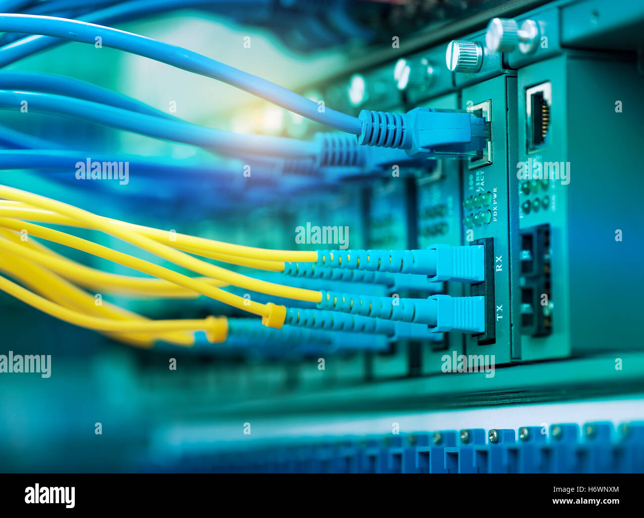 Fiber Optic cables connected to an optic ports and Network cables ...