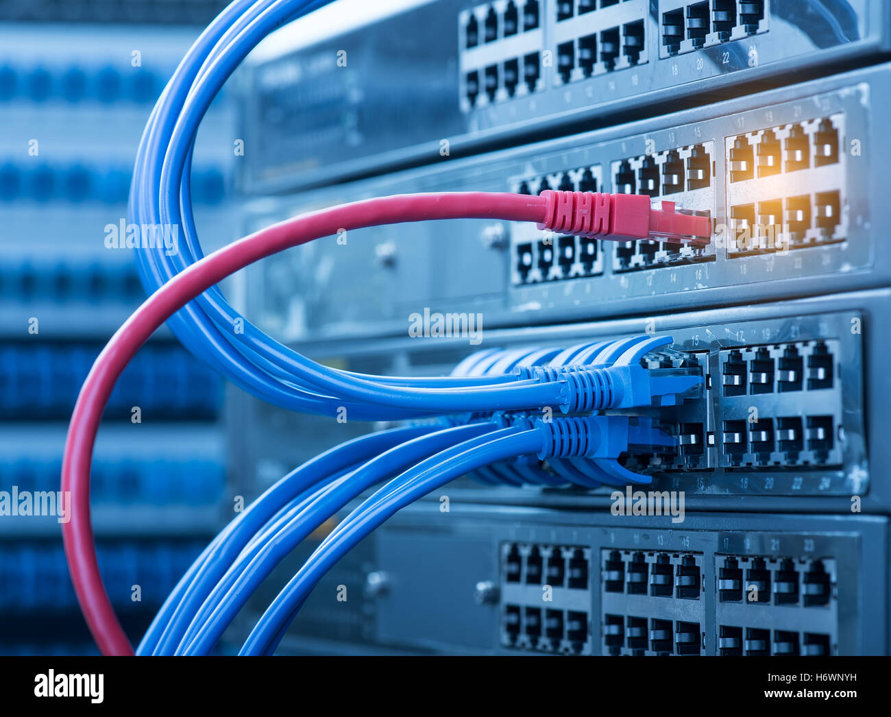 Network switch and ethernet cables,Data Center Concept Stock Photo - Alamy