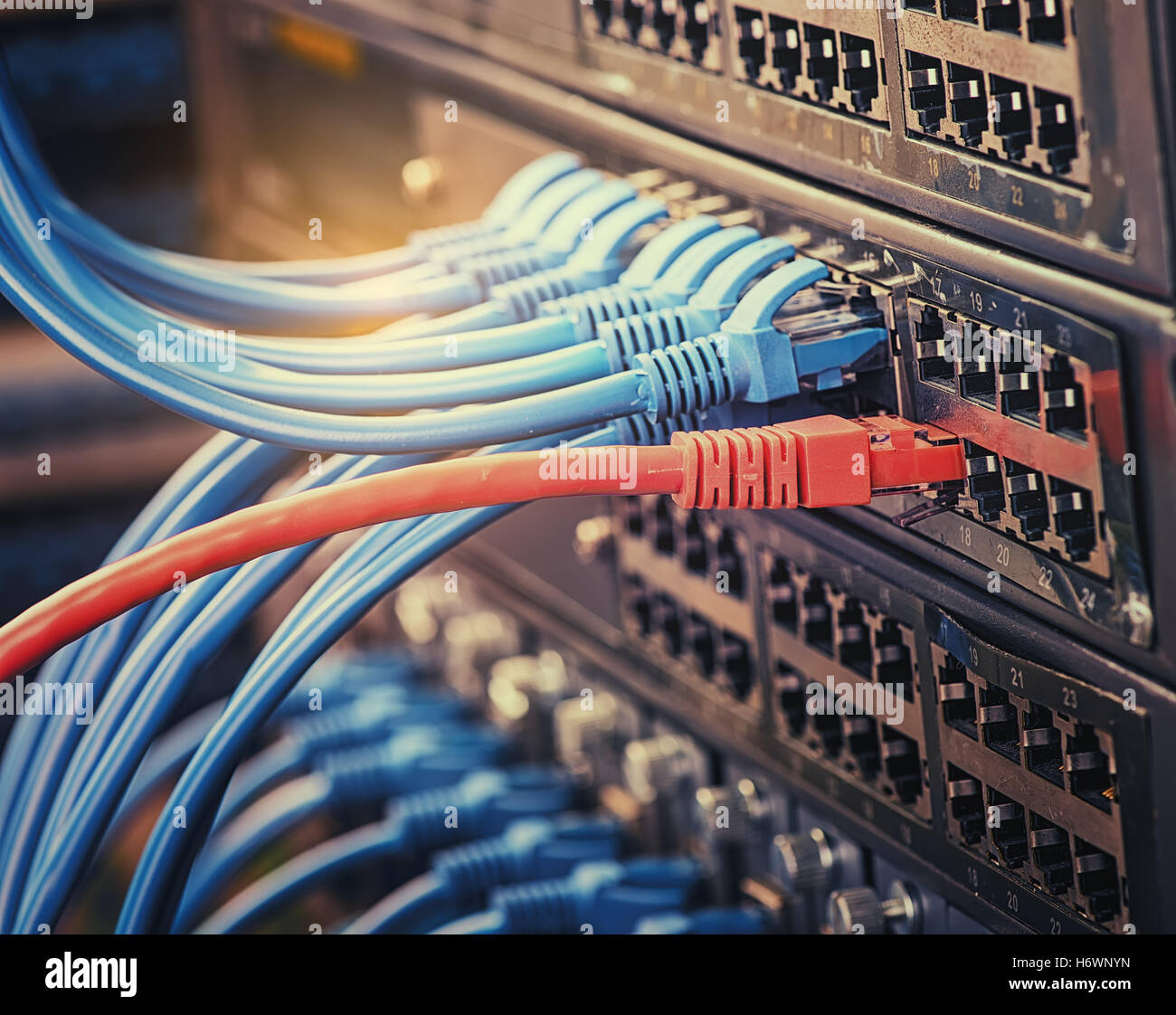Network switch and ethernet cables,Data Center Concept Stock Photo - Alamy