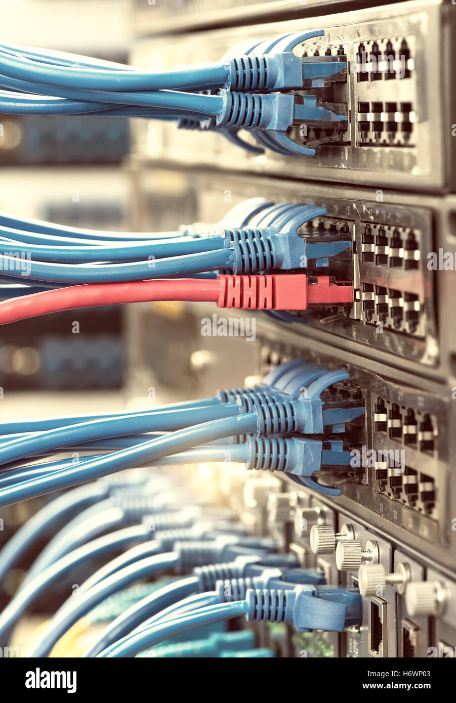 Network switch and ethernet cables,Data Center Concept Stock Photo - Alamy