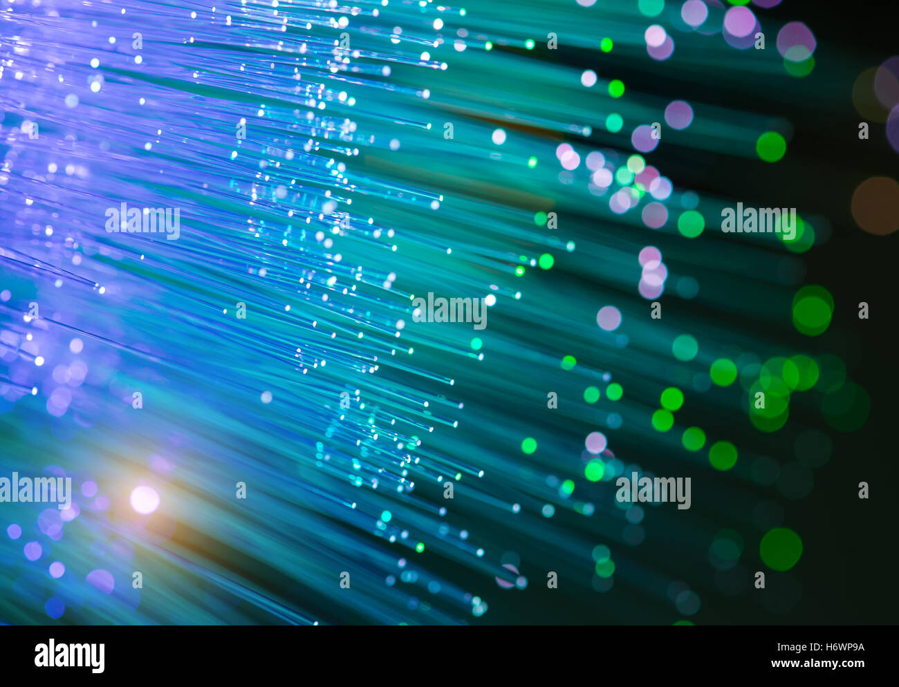 fiber optical network cable Stock Photo - Alamy
