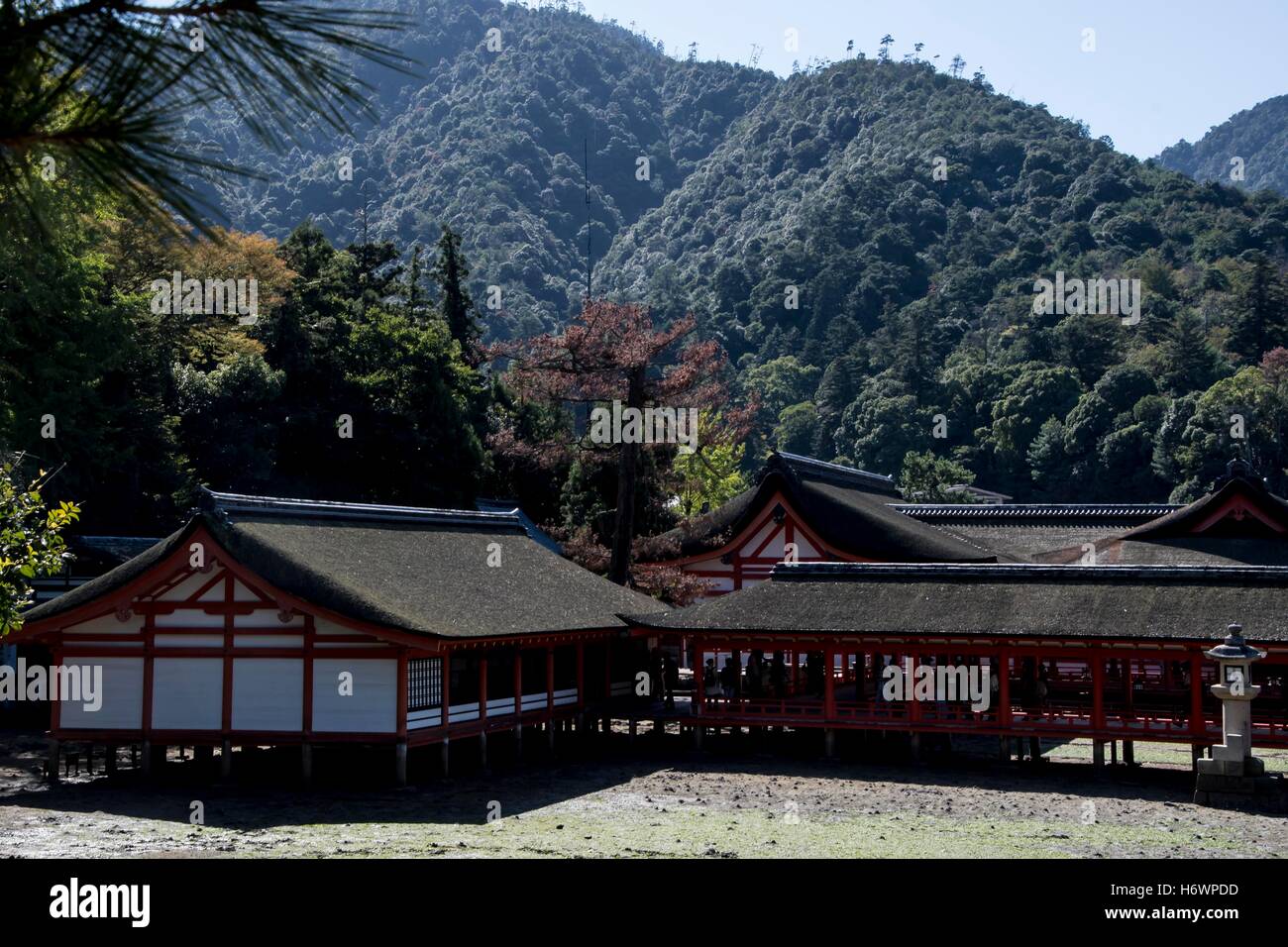 Stock Photo - Miyajima Shrine, Itsukushima Island, Hiroshima, Japan ...