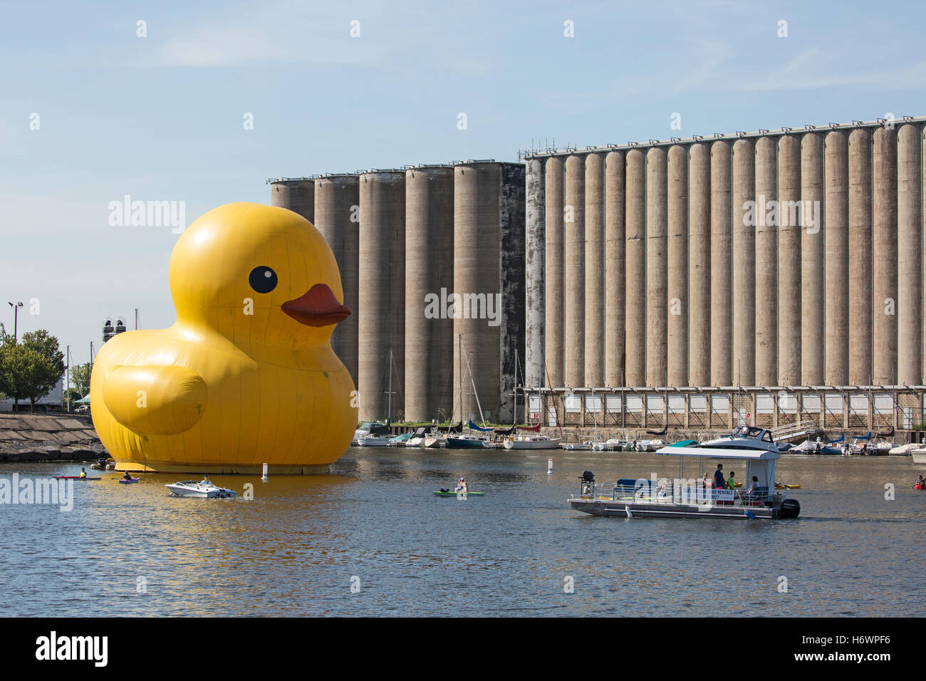 Giant rubber duck harbor High Resolution Stock Photography and Images ...