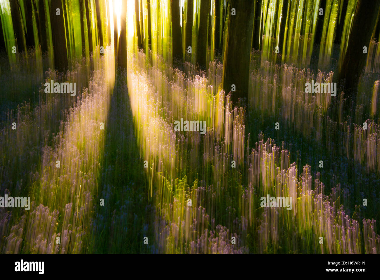 Cootehall hi-res stock photography and images - Alamy