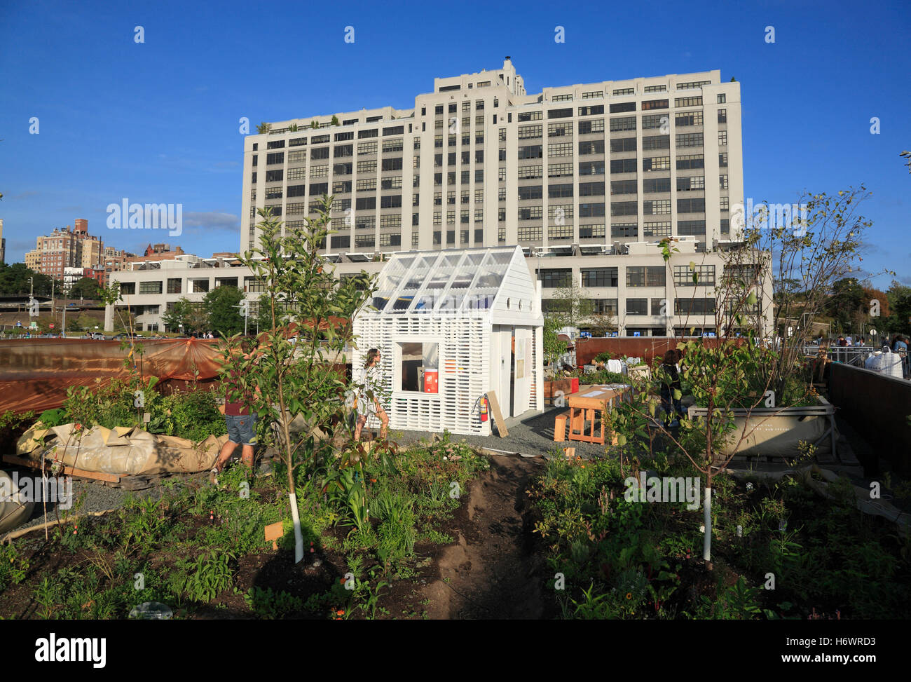 SWALE, swimming garden project, Brooklyn Bridge Park, Brooklyn, New ...