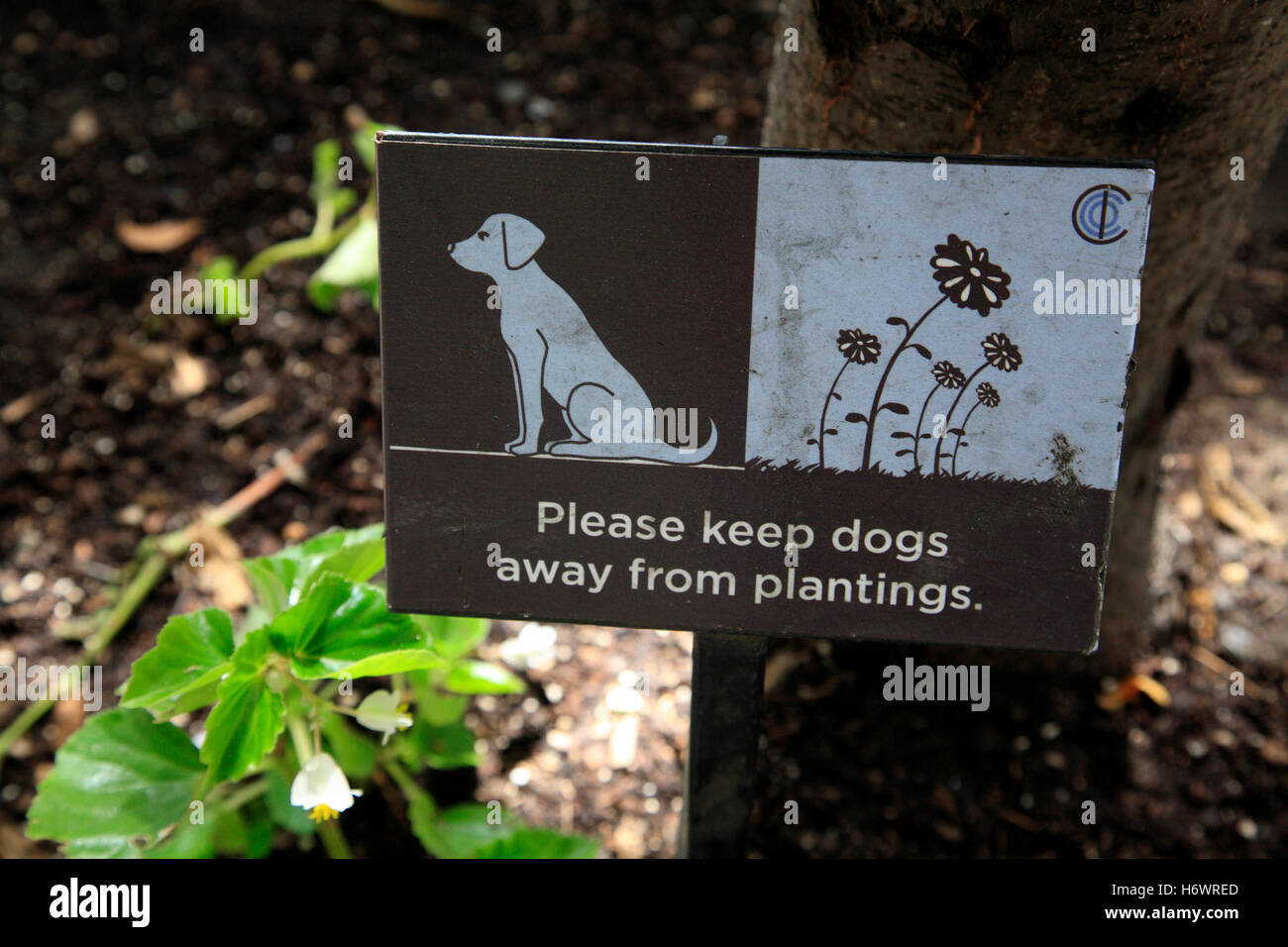 Please keep dogs away sign, Chelsea, Manhattan, New York, USA Stock ...