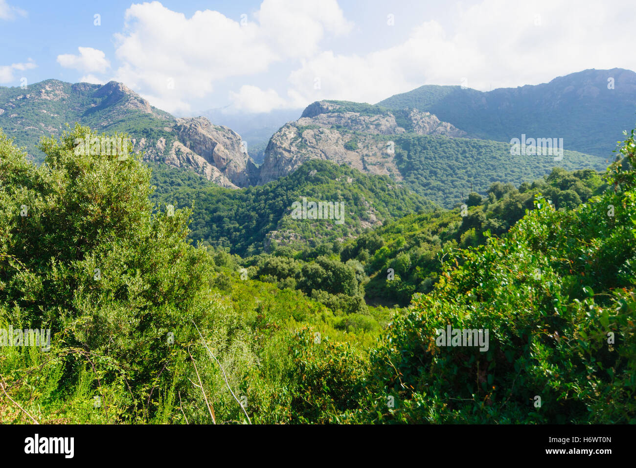 Prunelli gorges hi-res stock photography and images - Alamy