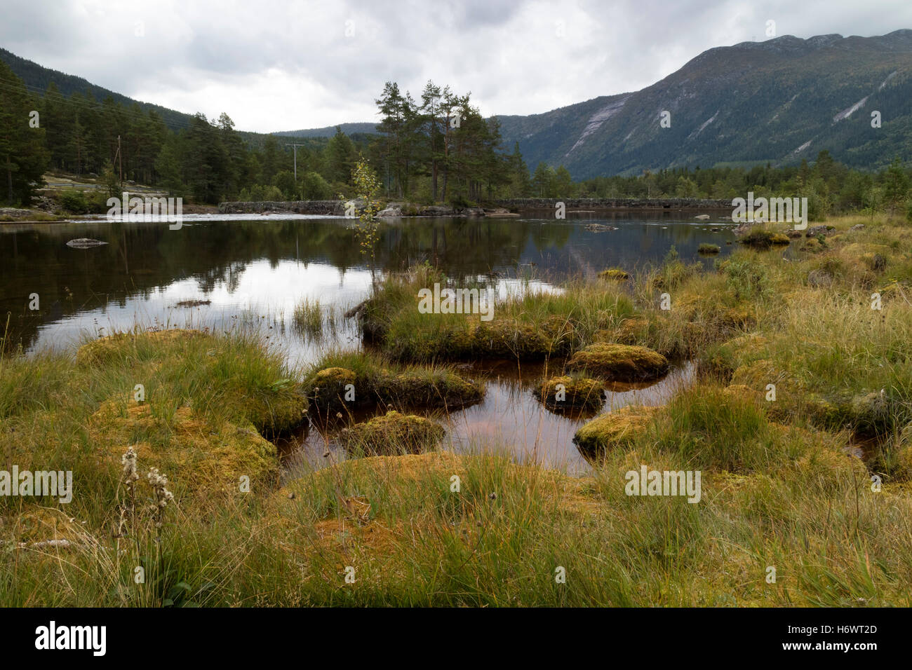River otra in the Setesdal, Norway Stock Photo - Alamy