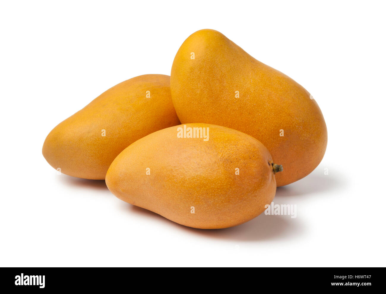 Fresh ripe yellow mangos on white background Stock Photo - Alamy