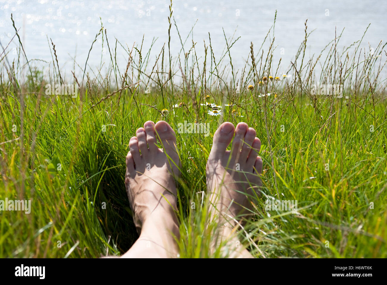 feet in the grass Stock Photo - Alamy