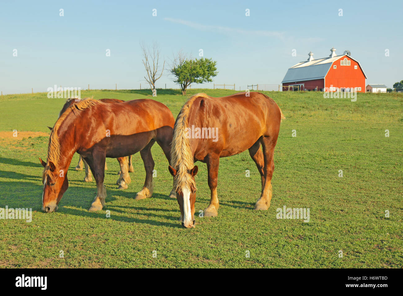 Useful powerful hi-res stock photography and images - Alamy