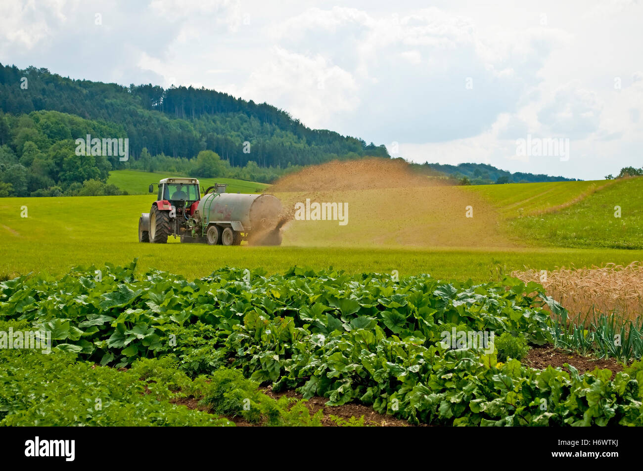 Slurry farming hi-res stock photography and images - Alamy