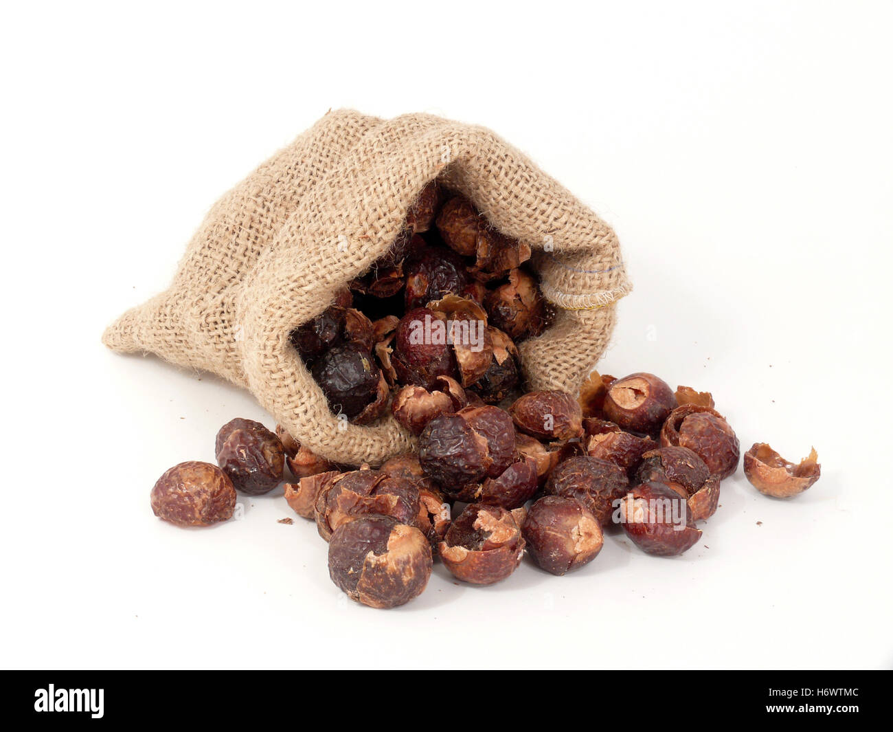 Waschnuss hi-res stock photography and images - Alamy