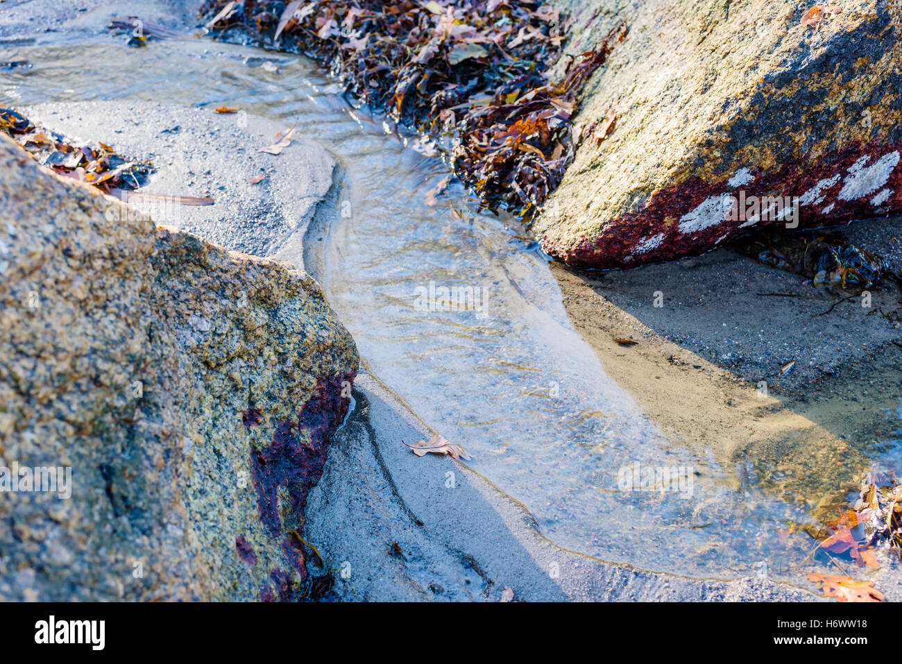 Very small meandering stream flowing on sandy beach in fall Stock Photo ...