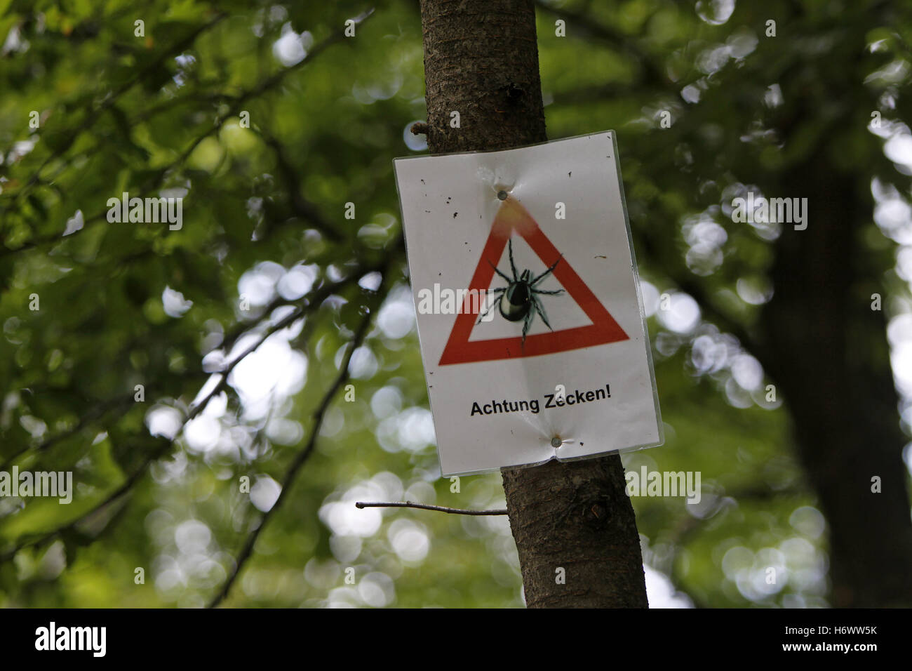 sign signal caution attention warning ticks sign signal tree trunk ...