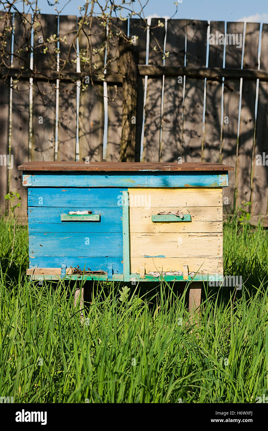 Several beehives in front of fence in the fruit garden in Ukraine ...