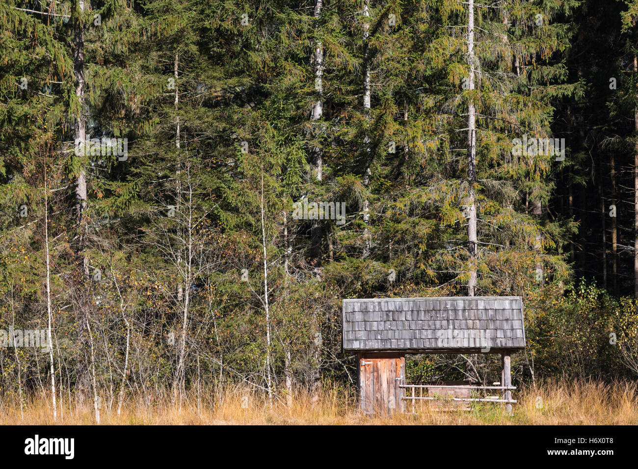 Old hut, Pürgschachen Moor, Bog, Ardning, Styria, Austria Stock Photo ...