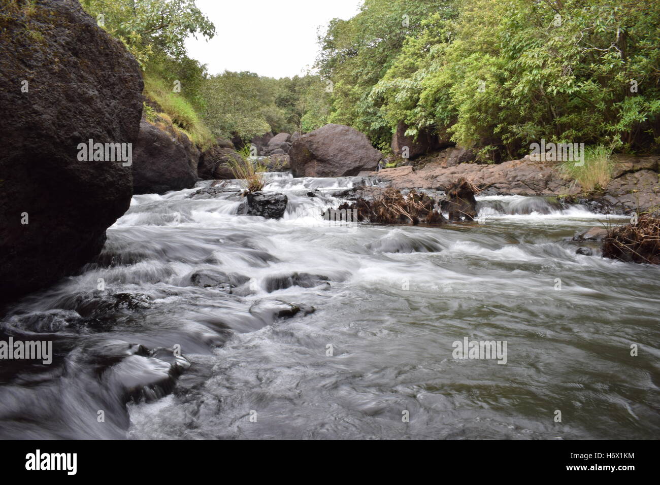 Vajrai Falls/Bhambavali waterfalls Stock Photo - Alamy