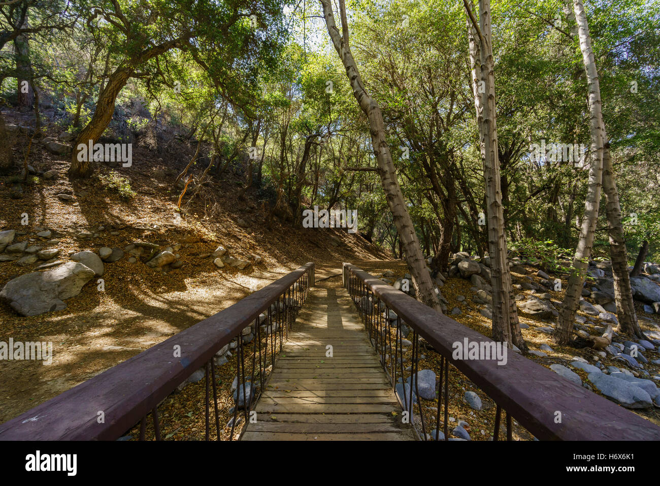 Beautiful fall color of Switzer Falls Trail, Los Angeles, California ...