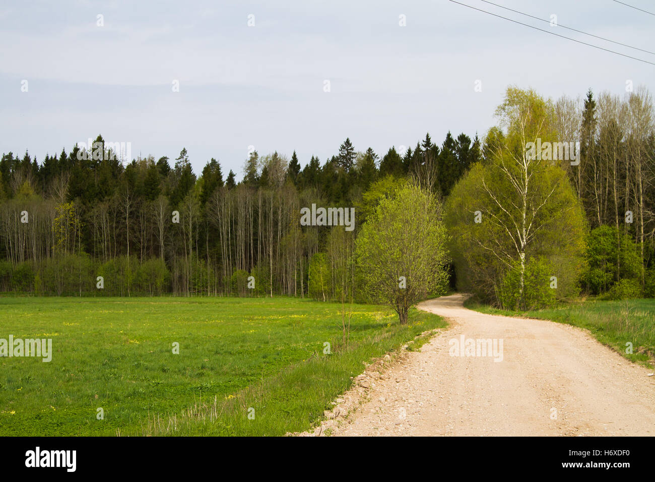 Beautiful spring landscape Stock Photo - Alamy