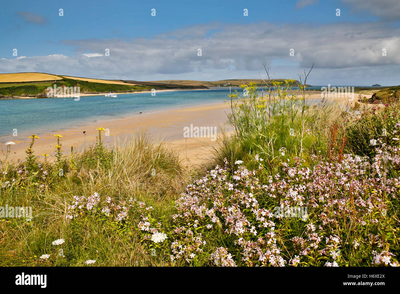 Sand Dunes; Rock; Cornwall; UK Stock Photo - Alamy