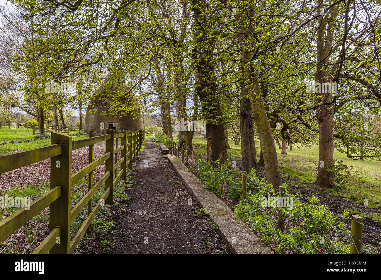 Waterloo Kiln at Pottery Ponds , Swinton , South Yorkshire Stock Photo ...