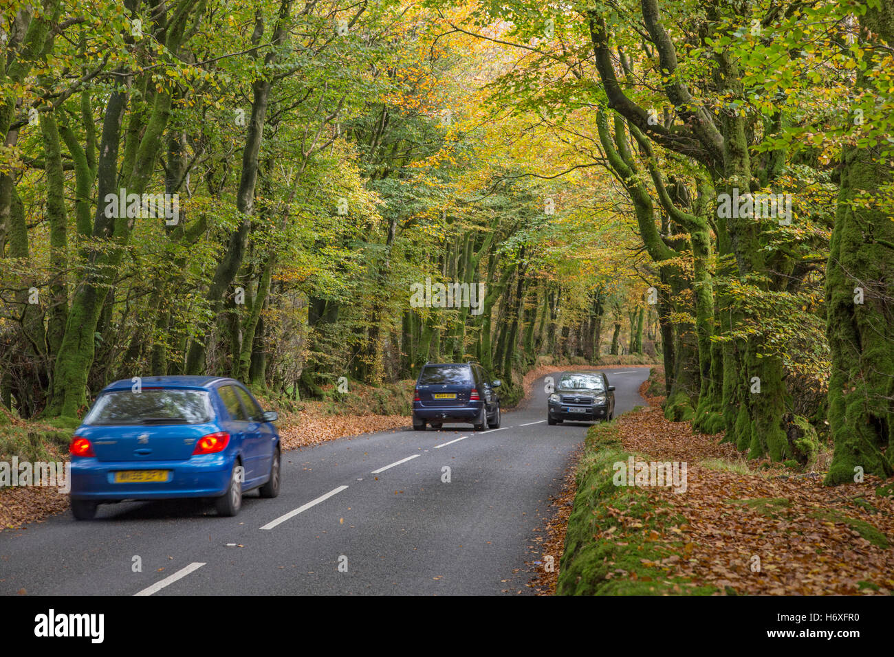 Road roads highways car hi-res stock photography and images - Alamy