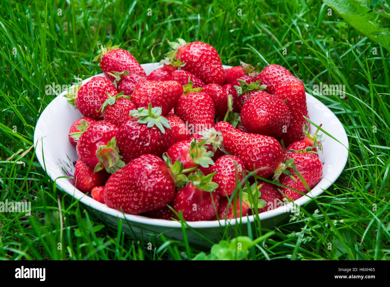finally, fresh products of spring available on markets Stock Photo - Alamy