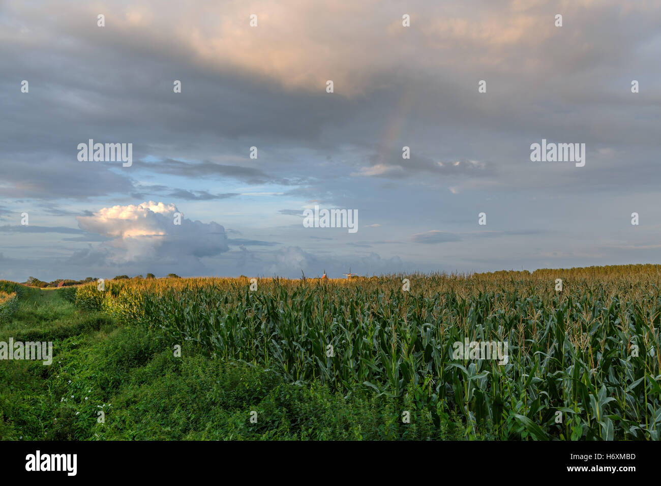 Salt farming hi-res stock photography and images - Alamy