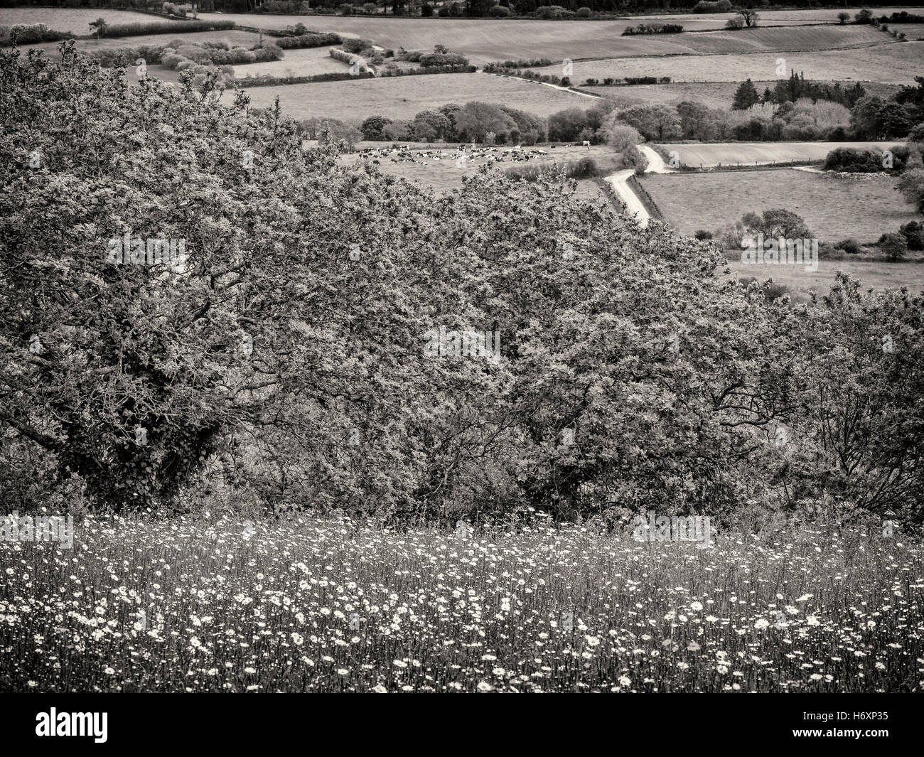 Brittany countryside, France Stock Photo - Alamy