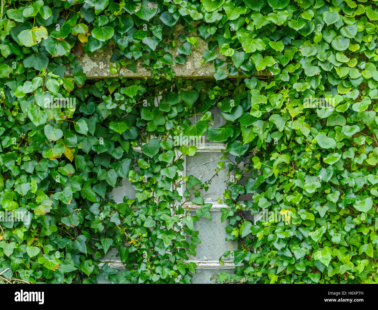 Brittany countryside, France Stock Photo - Alamy